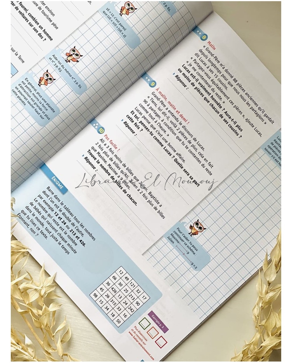 Résolution de problèmes CM2 – Méthodes, exercices et stratégies ...