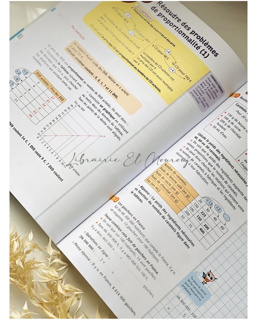Résolution de problèmes CM2 – Méthodes, exercices et stratégies ...